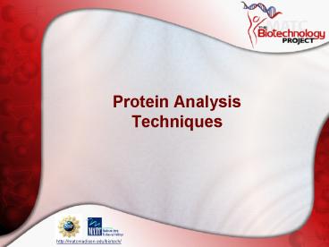 Protein Analysis Techniques presentation | free to view