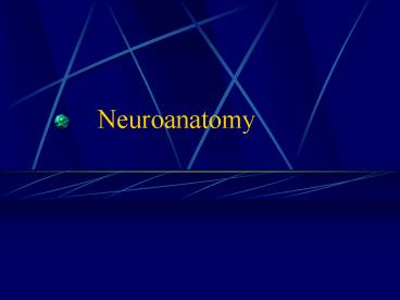 PPT – Neuroanatomy PowerPoint presentation | free to view - id: 20c944 ...