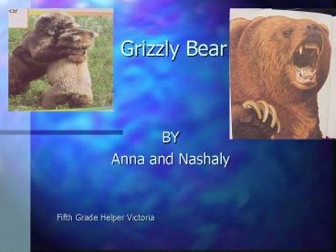 Grizzly Bear presentation | free to view