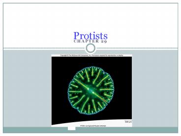 Protists presentation | free to view