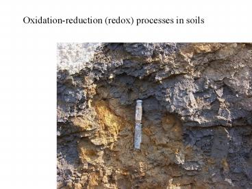 Oxidationreduction redox processes in soils presentation | free to view