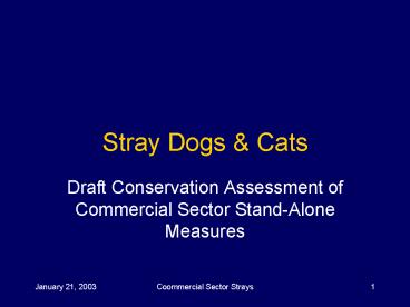 Stray Dogs presentation | free to view