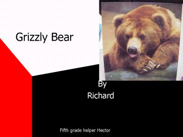 Grizzly Bear presentation | free to view