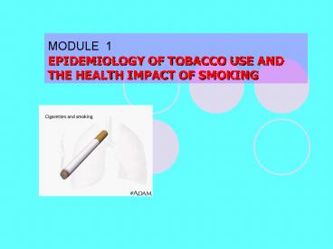 PPT – MODULE 1 EPIDEMIOLOGY OF TOBACCO USE AND THE HEALTH IMPACT OF ...