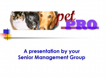 PPT – A presentation by your Senior Management Group PowerPoint ...