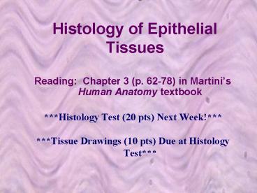 Histology of Epithelial Tissues presentation | free to view