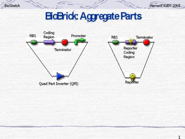 PPT – BioBrick: Aggregate Parts PowerPoint presentation | free to view ...