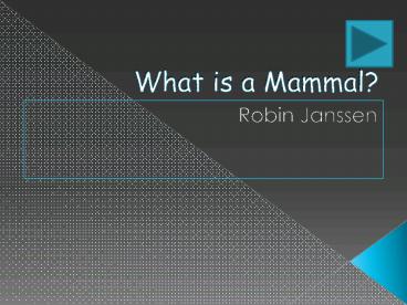 What is a Mammal presentation | free to view