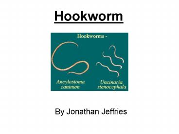 Hookworm presentation | free to view