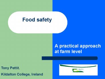 Food safety presentation | free to view