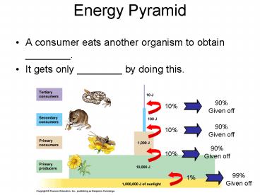 Energy Pyramid presentation | free to view