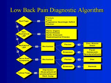 Low Back Pain Diagnostic Algorithm presentation | free to view