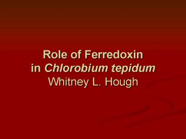 Role of Ferredoxin in Chlorobium tepidum Whitney L' Hough presentation ...
