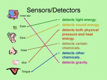 PPT – Sensors/Detectors PowerPoint presentation | free to download - id ...