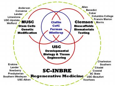 MUSC presentation | free to view