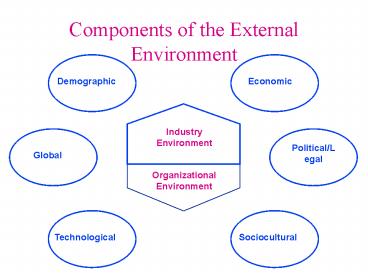 Components of the External Environment presentation | free to view