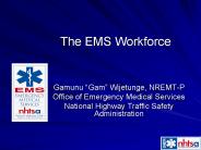 PPT – EMS PowerPoint presentation | free to view - id: 3fb58f-ZmE1N