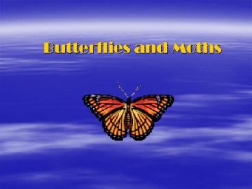 Butterflies and Moths presentation | free to view