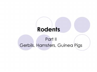 Rodents presentation | free to view