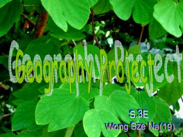 Geography Project presentation | free to view