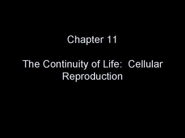 Chapter 11 The Continuity of Life: Cellular Reproduction presentation ...