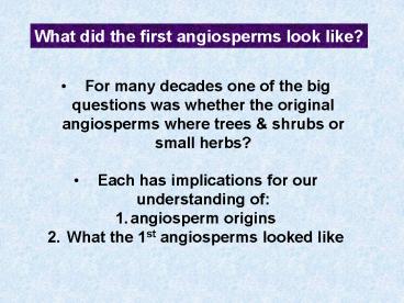 PPT – What did the first angiosperms look like PowerPoint presentation ...