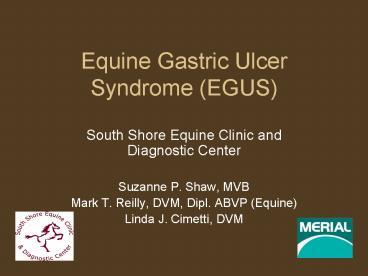 PPT – Equine Gastric Ulcer Syndrome EGUS PowerPoint presentation | free ...