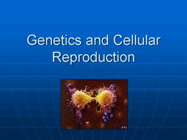 PPT – Genetics and Cellular Reproduction PowerPoint presentation | free ...
