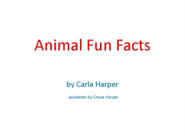 Animal Fun Facts presentation | free to view