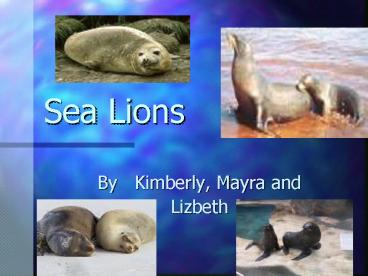 Sea Lions presentation | free to view