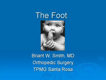 The Foot presentation | free to view