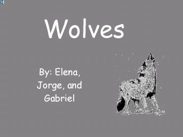 PPT – Wolves PowerPoint presentation | free to view - id: 23b9c5-NGJjY