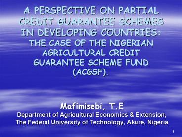 A PERSPECTIVE ON PARTIAL CREDIT GUARANTEE SCHEMES IN DEVELOPING ...