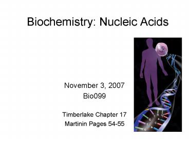 Biochemistry: Nucleic Acids presentation | free to view