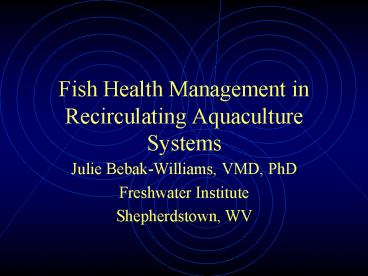 Fish Health Management in Recirculating Aquaculture Systems ...