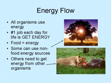 Energy Flow presentation | free to view