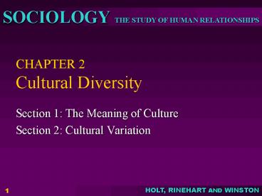 CHAPTER 2 Cultural Diversity presentation | free to view