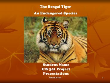 The Bengal Tiger presentation | free to view