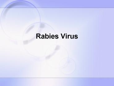 Rabies Virus presentation | free to view