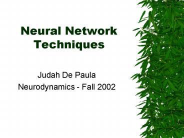 Neural Network Techniques presentation | free to view