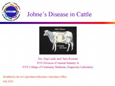 Johnes Disease in Cattle presentation | free to view