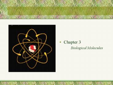 Biological Molecules presentation | free to view