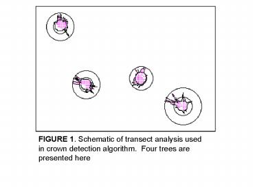 FIGURE 1' Schematic of transect analysis used in crown detection ...