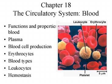 Plasma Circulatory System