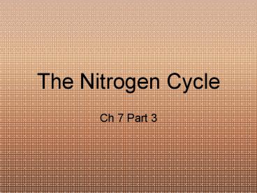 The Nitrogen Cycle presentation | free to view