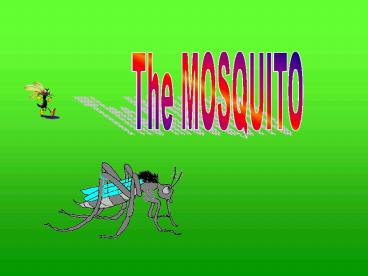 mosquito presentation | free to view