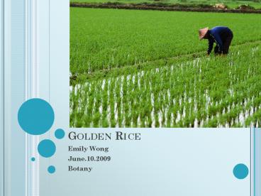 Golden Rice presentation | free to view
