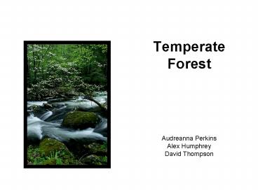 PPT – Temperate Forest PowerPoint presentation | free to view - id ...