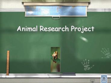 PPT – Animal Research Project PowerPoint presentation | free to view ...