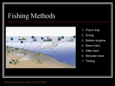 Fishing Methods presentation | free to view